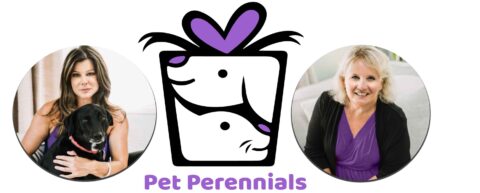 An interview with Pet Perennials - Groomsoft Pet Grooming Software Blog